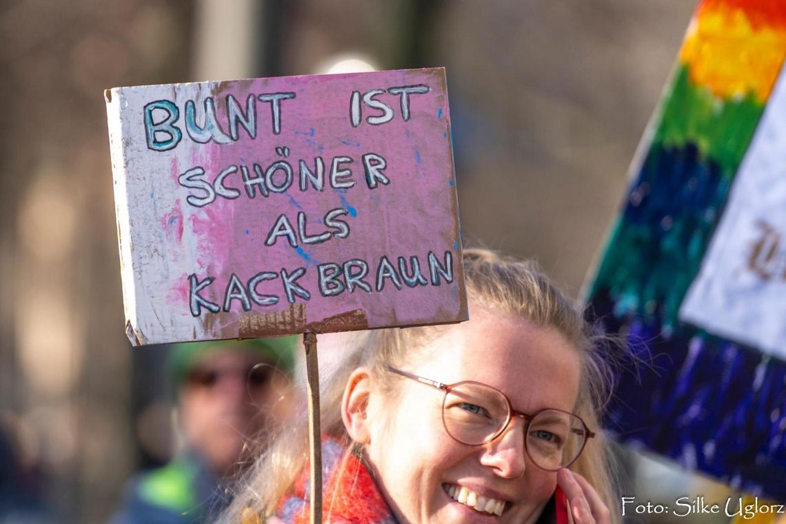 Eure Anti-AfD-Plakate: 90-mal Vielfalt statt Einfalt