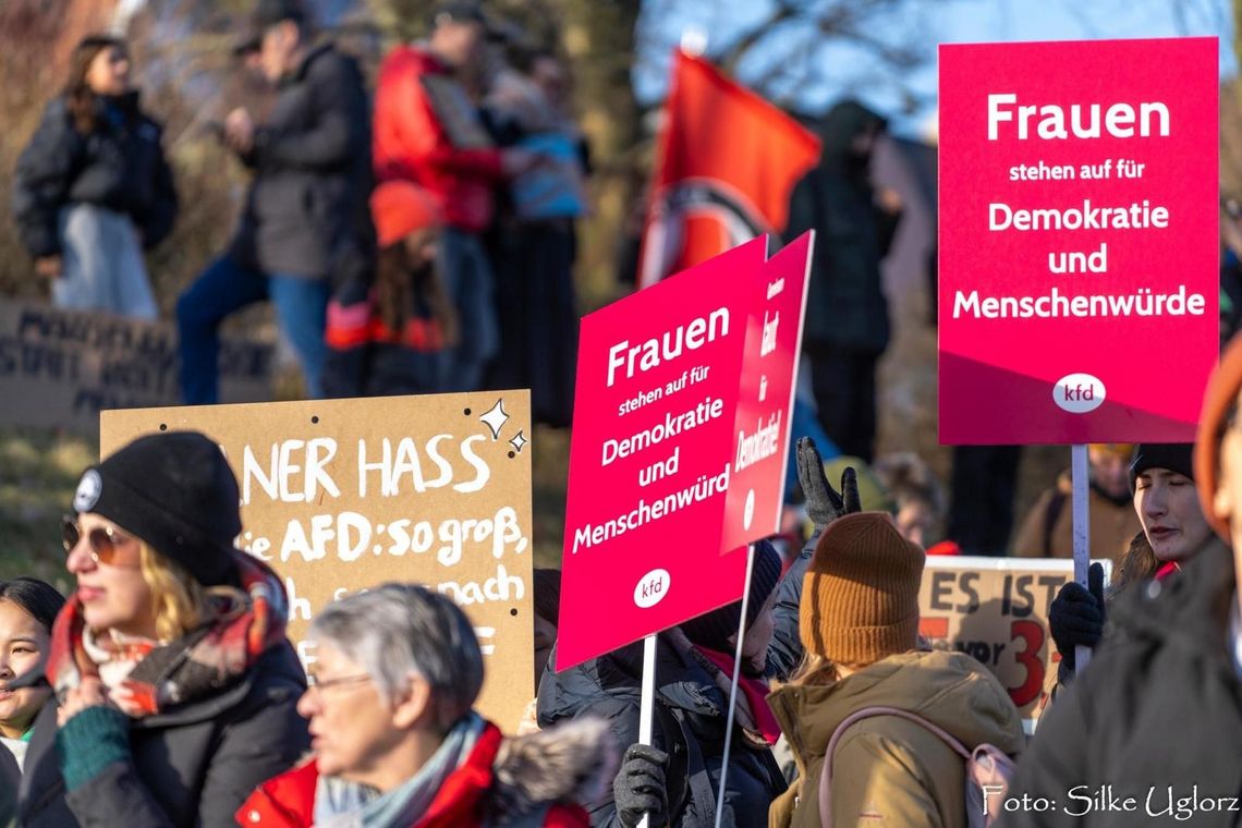 Eure Anti-AfD-Plakate: 90-mal Vielfalt statt Einfalt