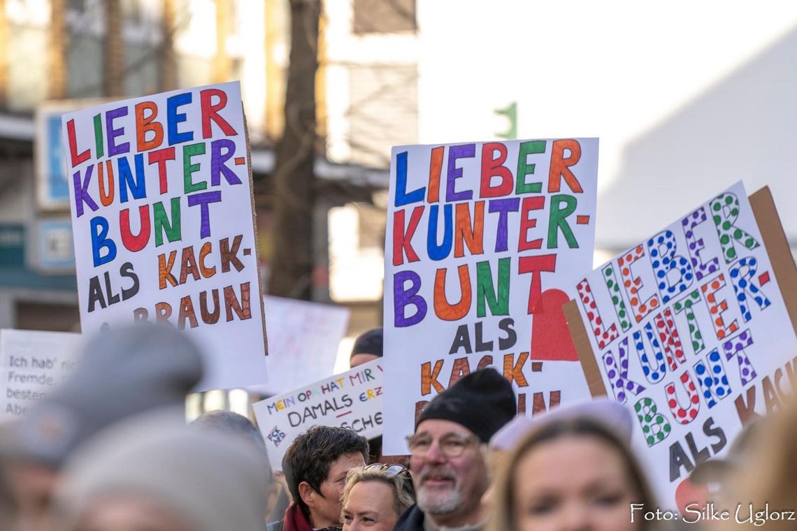 Eure Anti-AfD-Plakate: 90-mal Vielfalt statt Einfalt