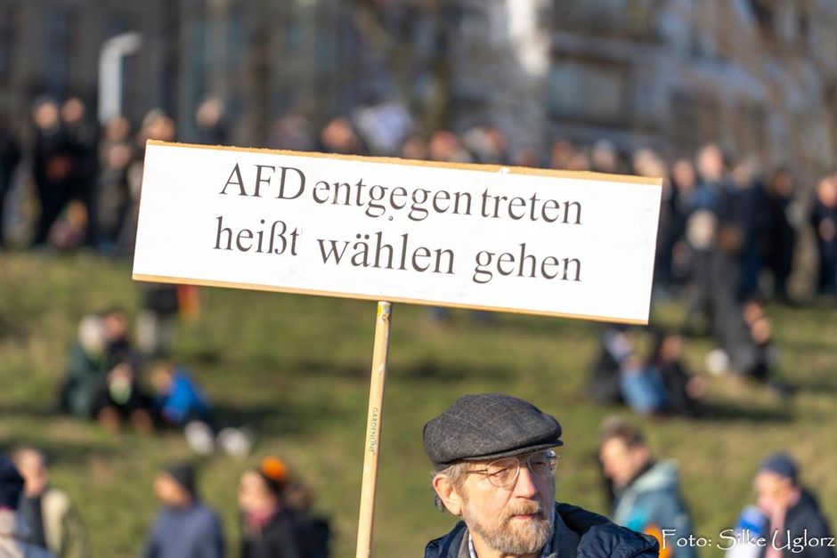 Eure Anti-AfD-Plakate: 90-mal Vielfalt statt Einfalt