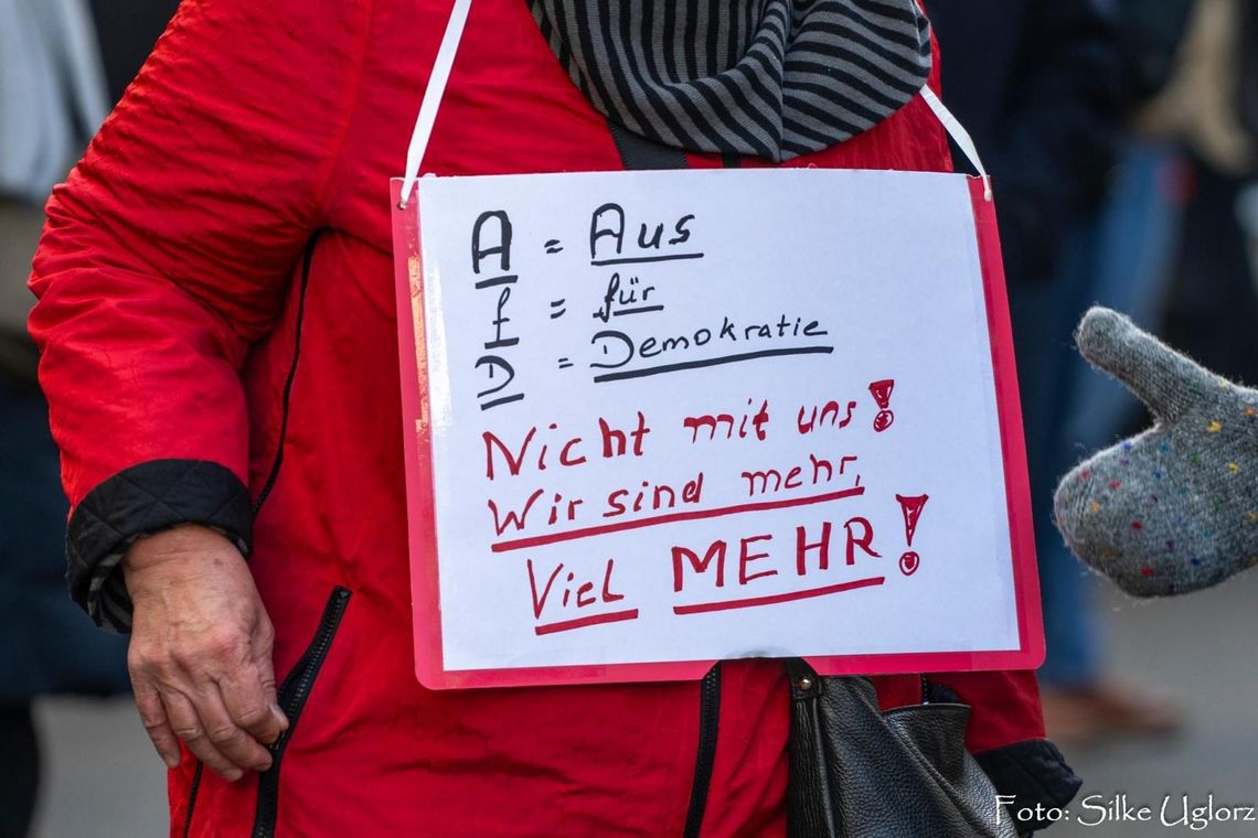 Eure Anti-AfD-Plakate: 90-mal Vielfalt statt Einfalt